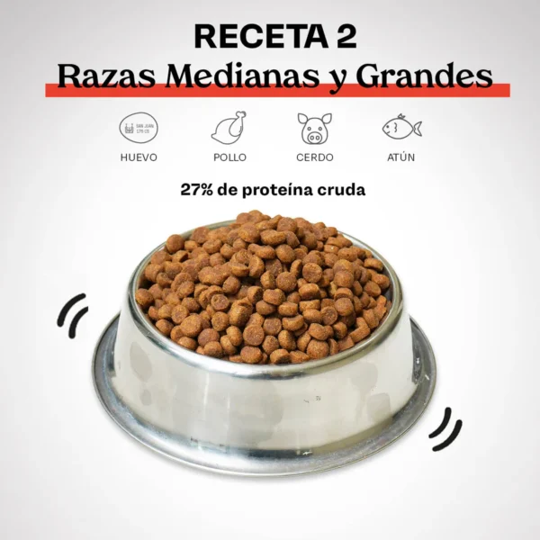 Maka Receta 2 Adulto